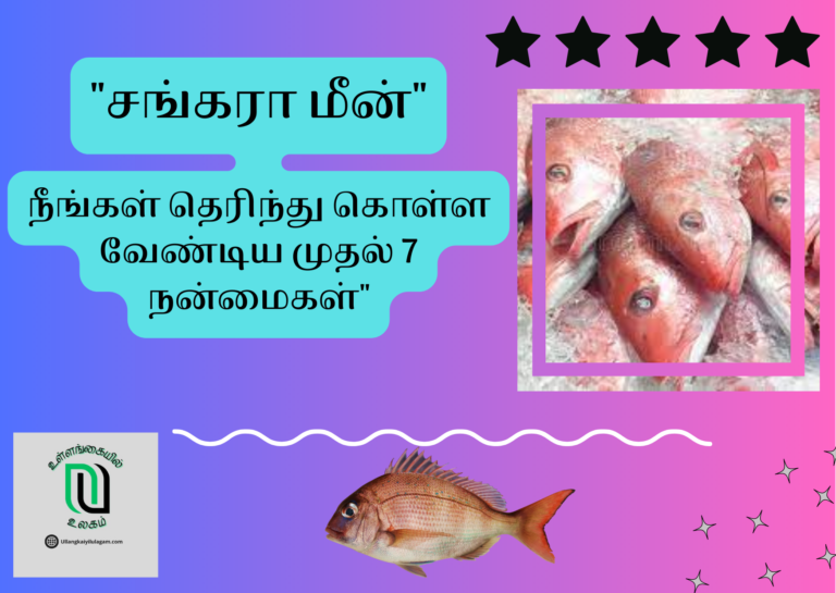 சங்கரா மீன்: நீங்கள் தெரிந்து கொள்ள வேண்டிய முதல் 7 நன்மைகள்"